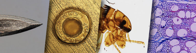 3D Digital Microscope - Hirox Europe