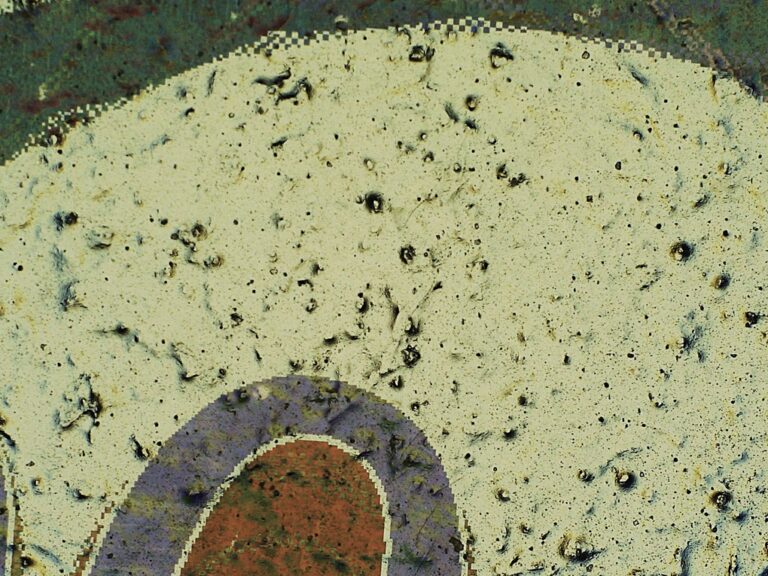 HRX-RVOMAX - Hirox Europe